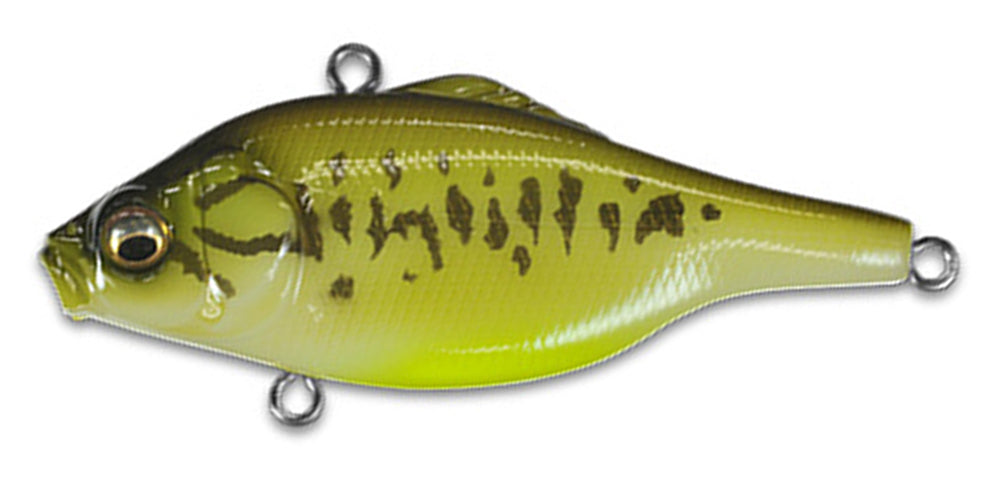 Megabass Vibration-X Smatra Bone Knocker